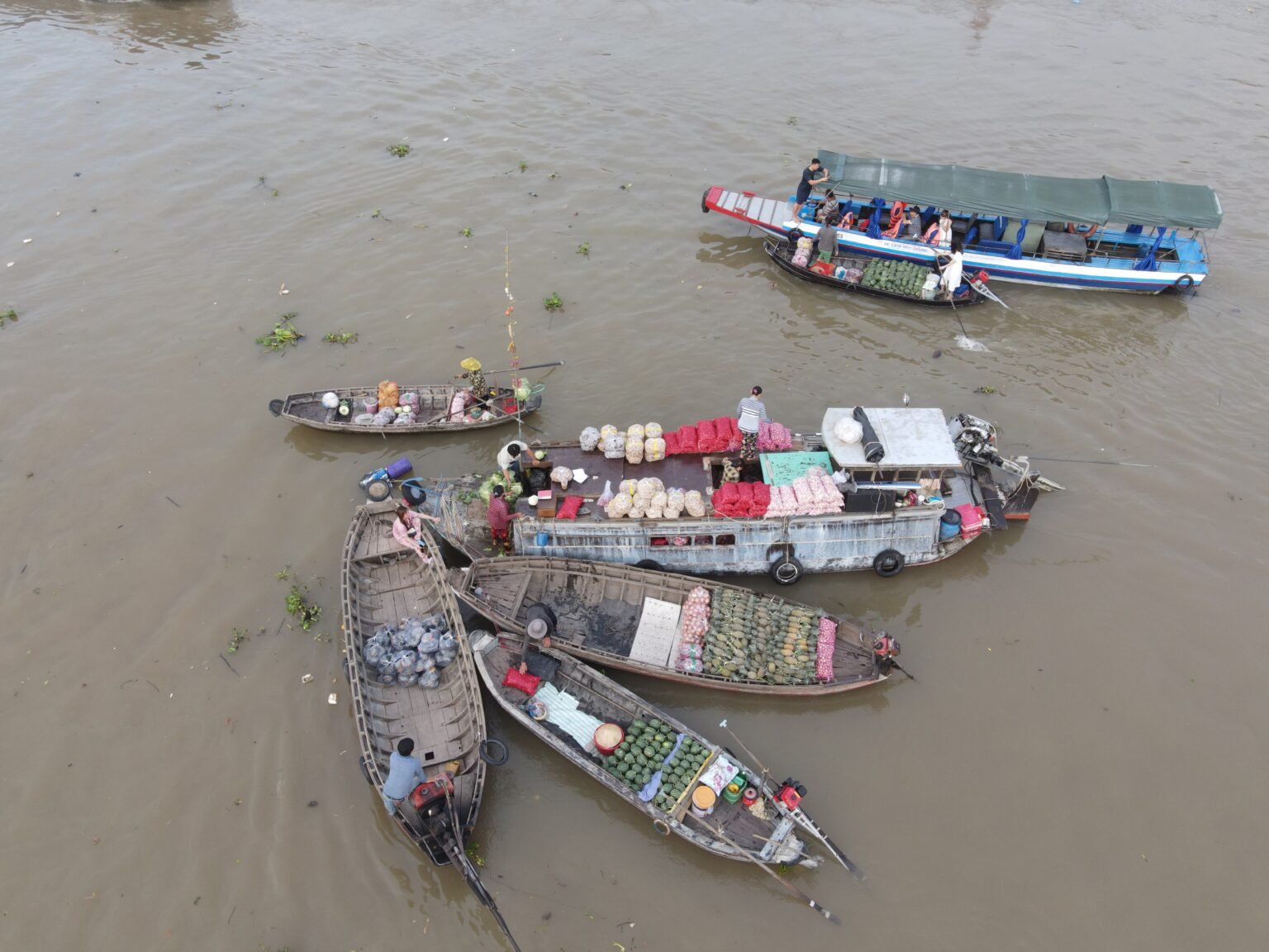 Traveling from Ben Tre to Can Tho: An Easy Guide for Visitors - SinhCafe